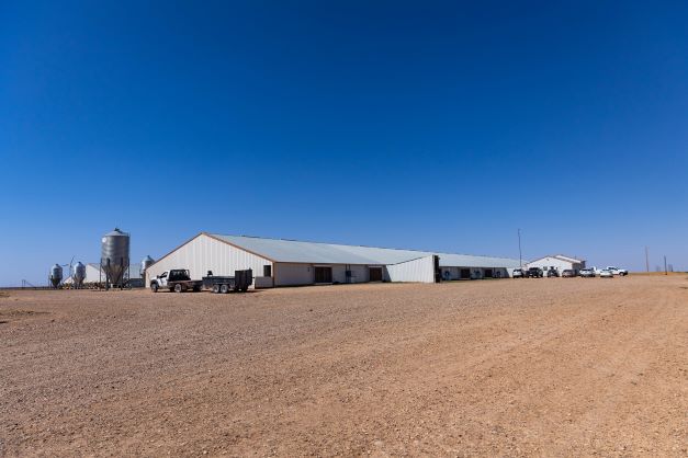 From Pigs to Pork - Seaboard Foods