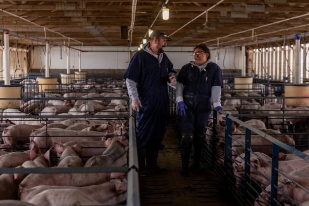 From Pigs to Pork - Seaboard Foods