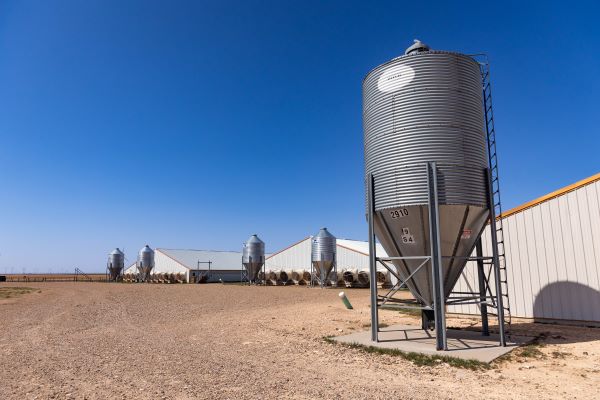 From Pigs to Pork - Seaboard Foods