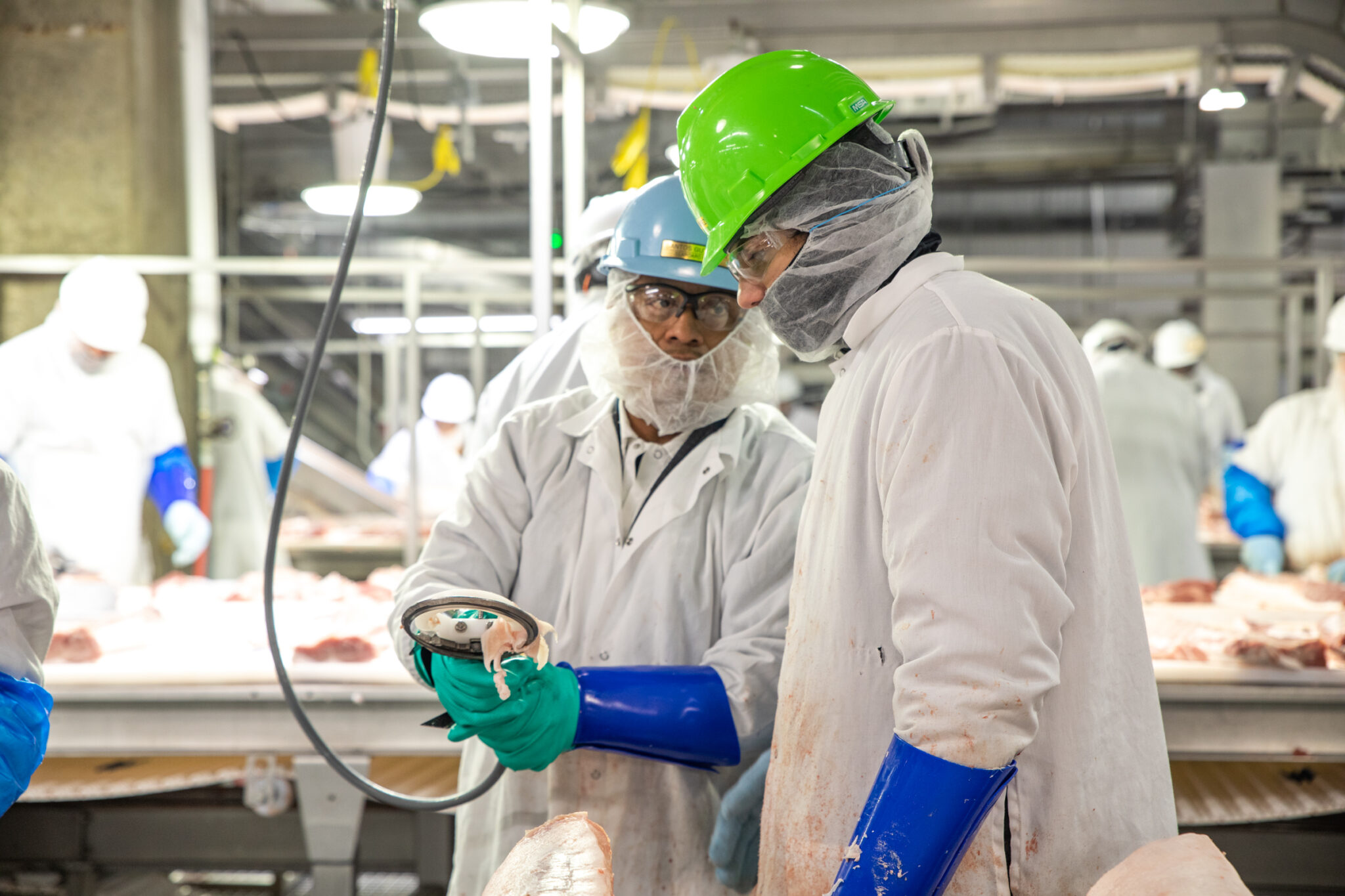 Why Seaboard Foods - Seaboard Foods